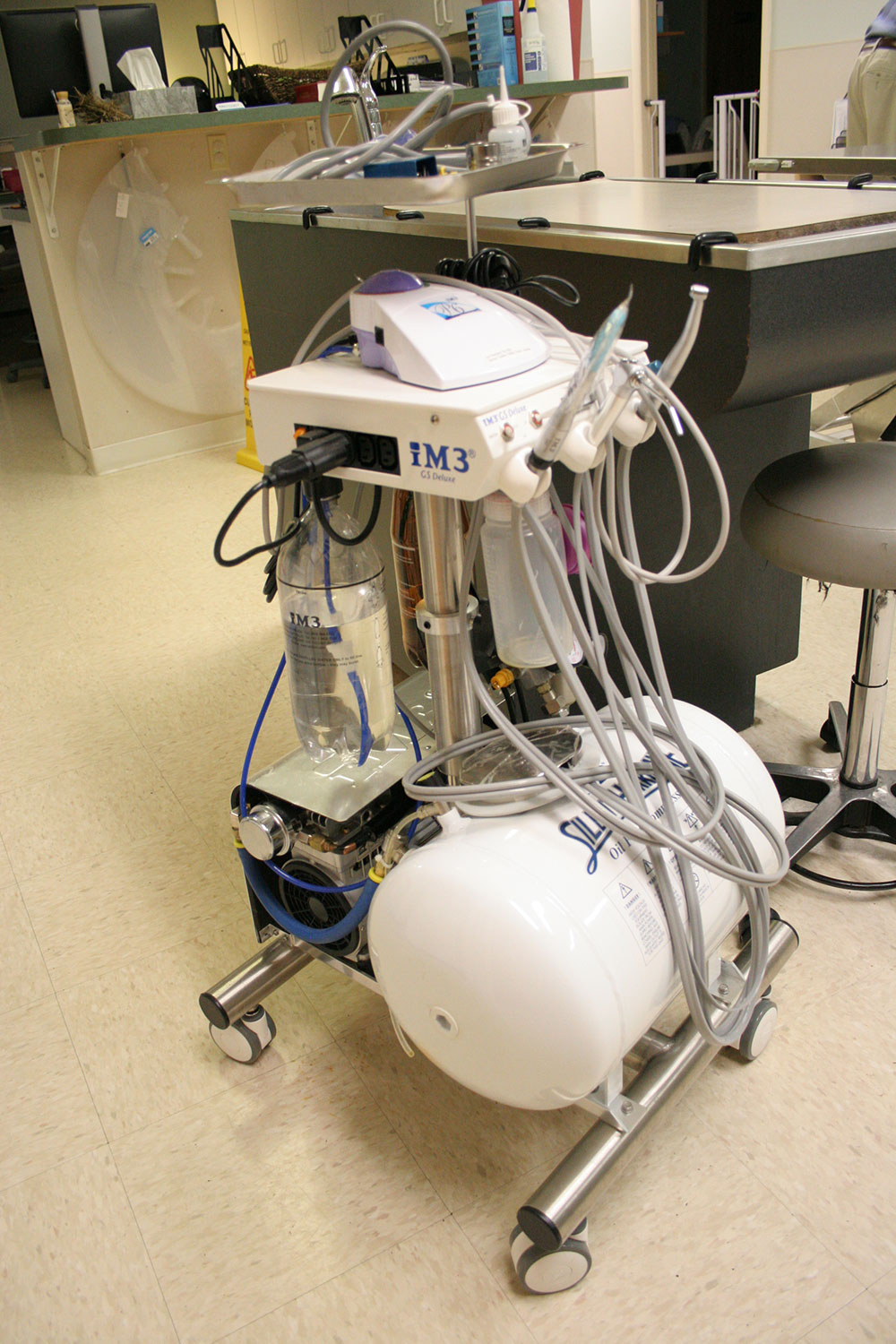 Dentistry - HanoverView Animal Hospital